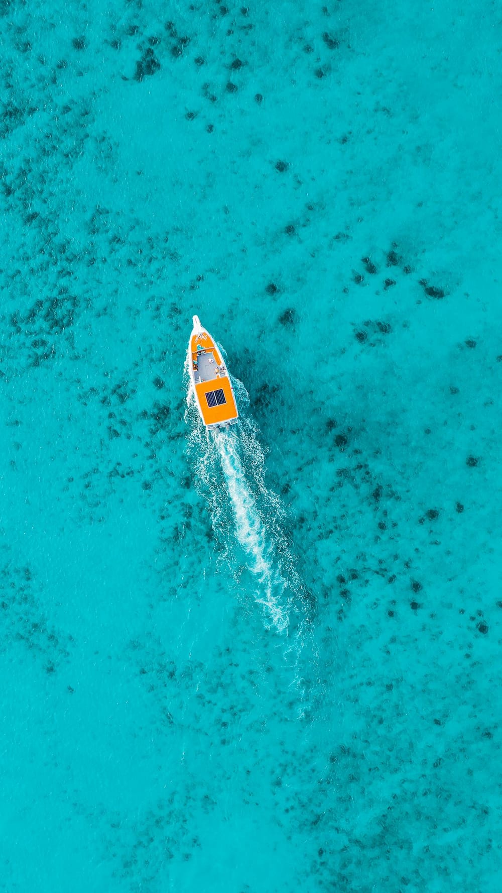 Famous Pirates, Their Ships, and Where to Find Them